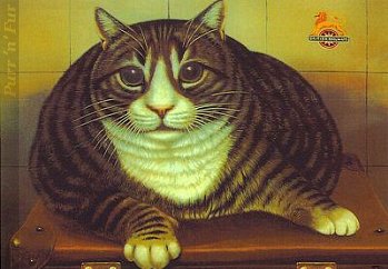 Purr-n-Fur UK | Rail | Tiddles of Paddington Station, London